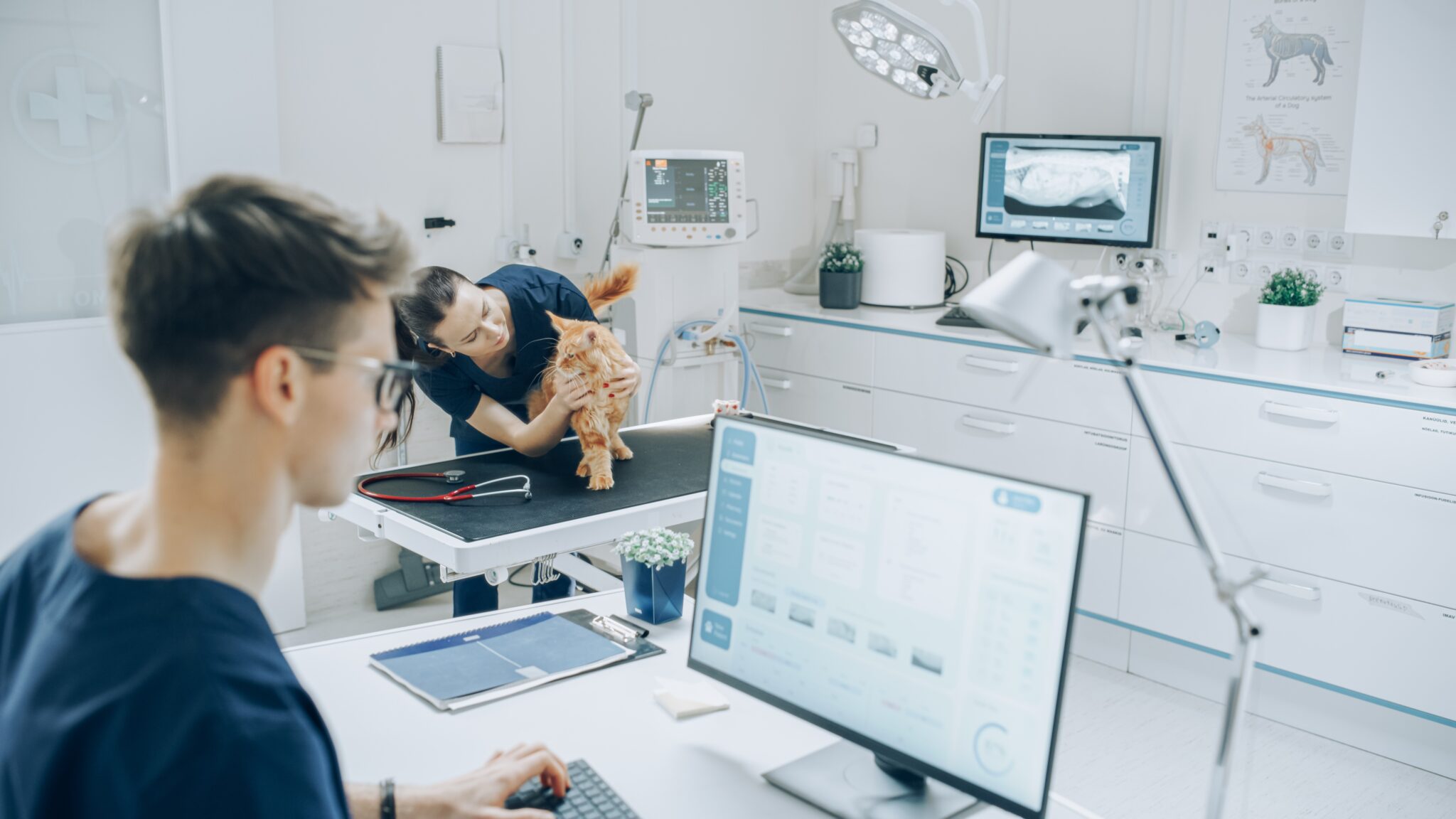 Cloud-Based Solutions for Optimizing Animal Health Services | ER Express