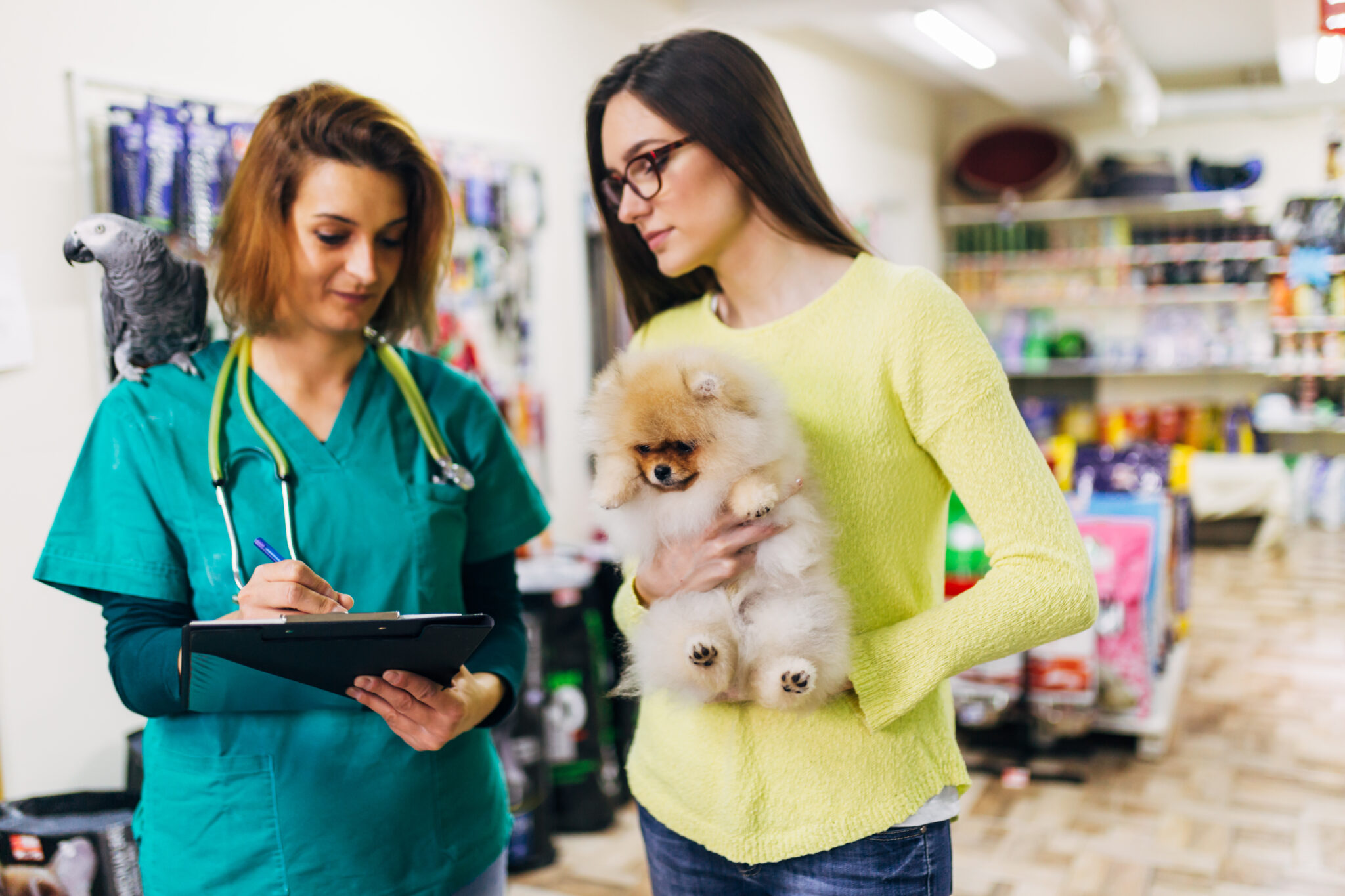 Waitlist Management in Veterinary Care Facilities | ER Express
